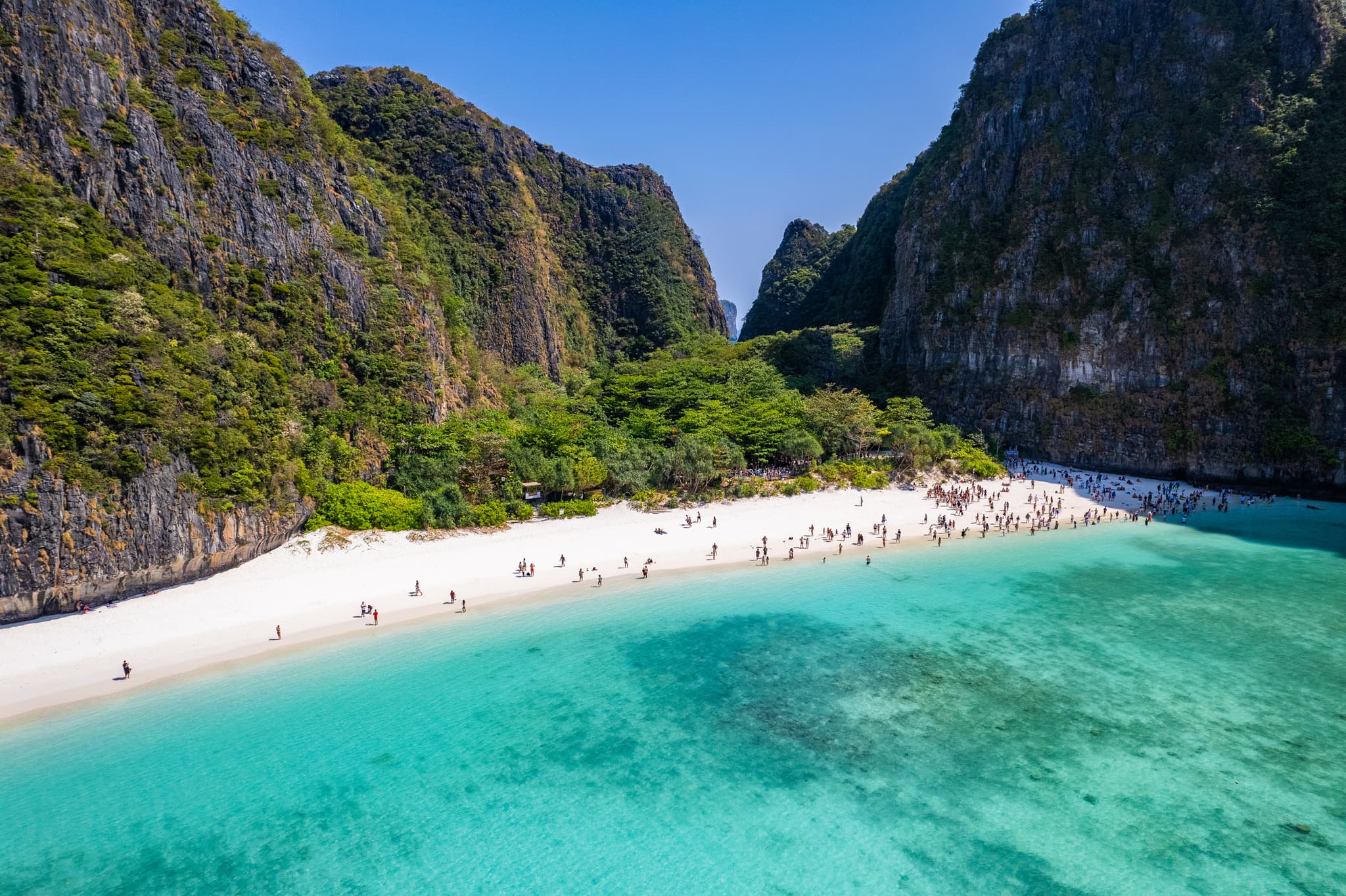 Tour Operators | Phi Phi Tours